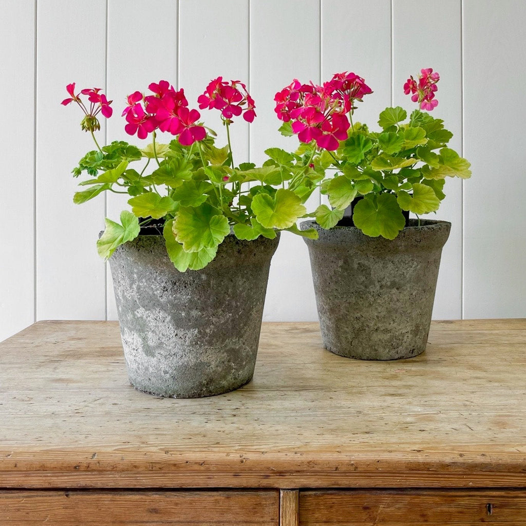 A Pair of English Composite Garden Pots with Perfect Patina! – The ...